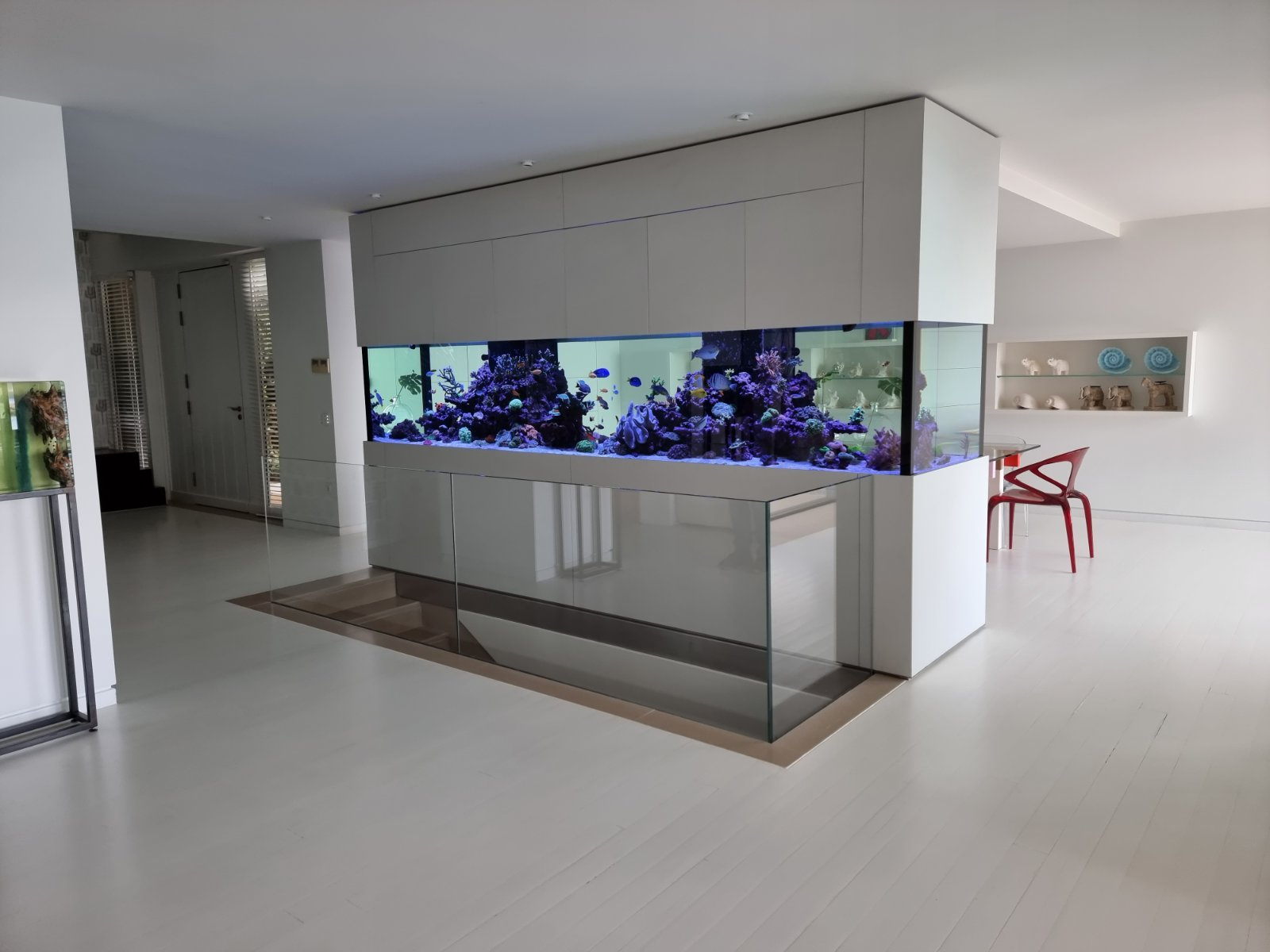 Ενυδρείο Reef σε ιδιωτική οικία - Ενυδρεία - My Aquarium