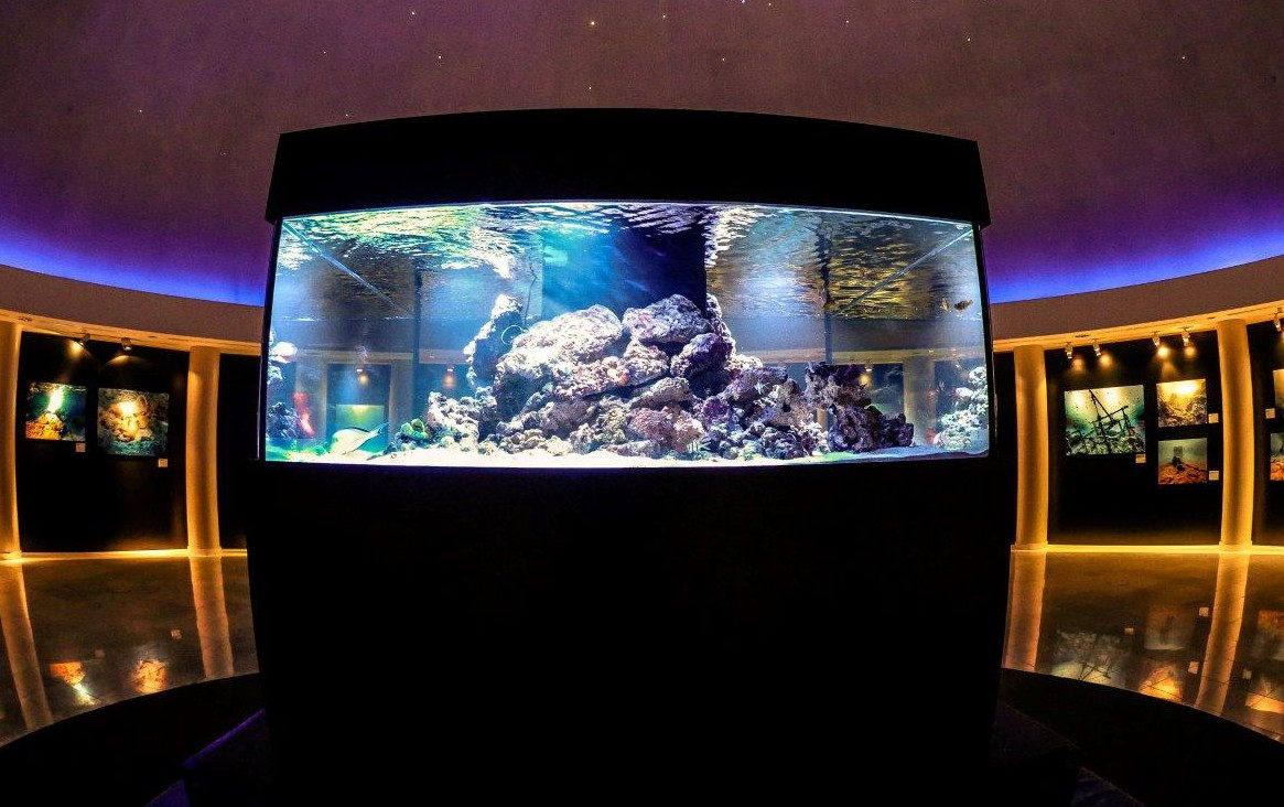 Eugenides Foundation - Planetarium - Custom Aquariums - My Aquarium